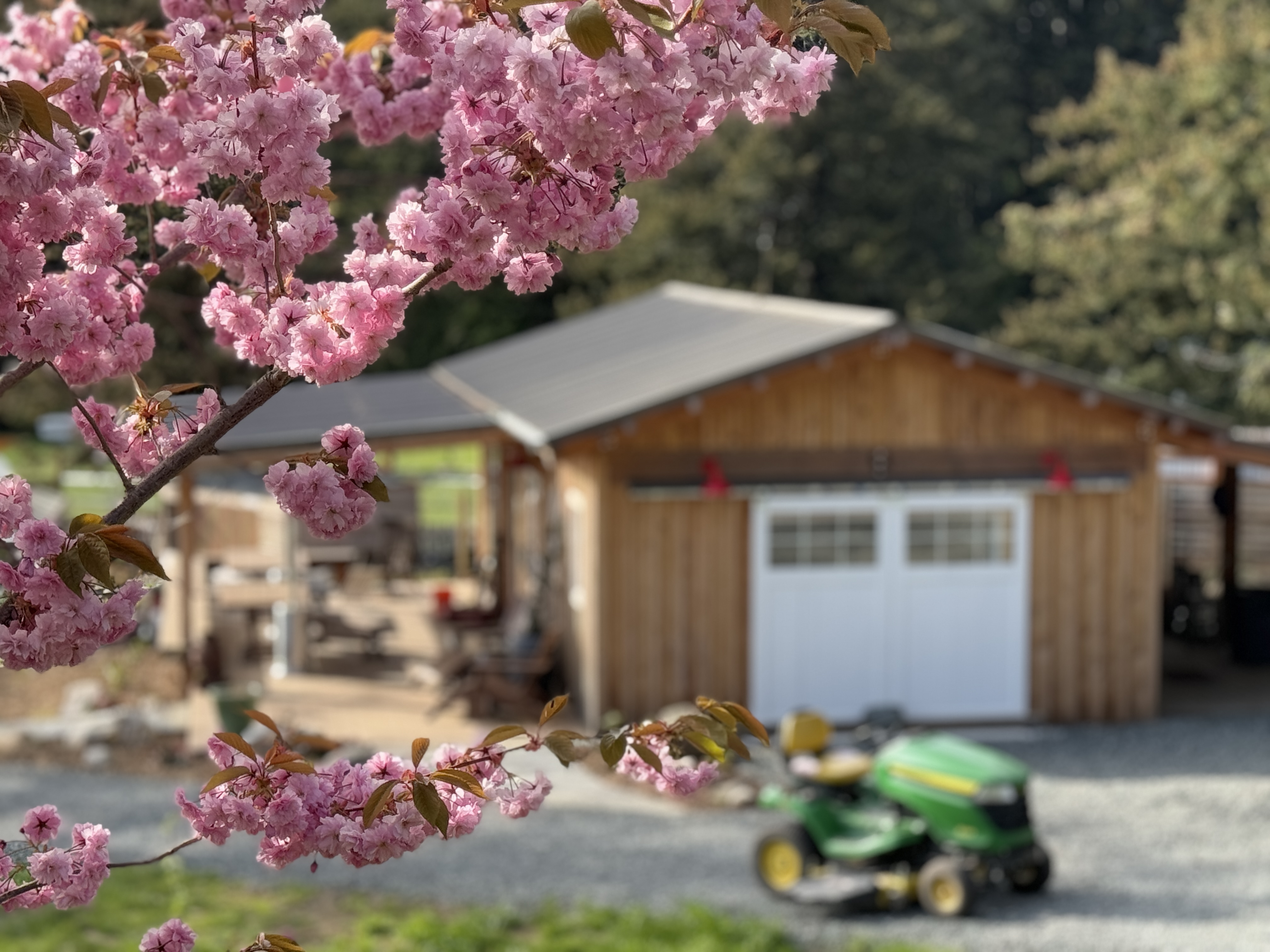Weddings and Event Floral | The Little Farm On Olga Rd